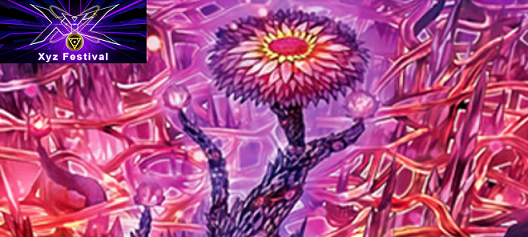 Hướng dẫn chơi và build Numeron - Ver Xyz Festival (Master Duel) Master ...